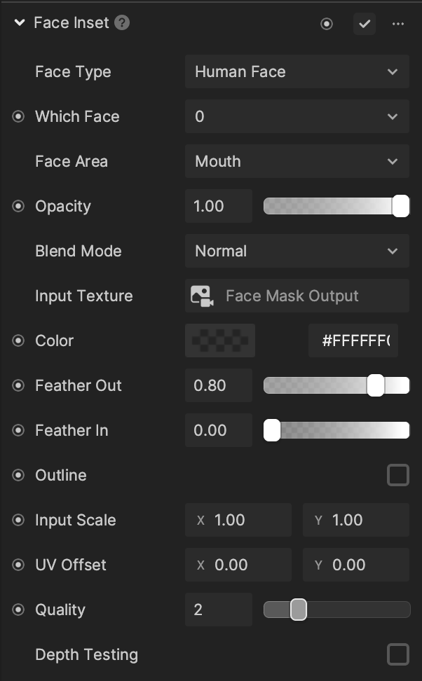 Face Inset | Learn | TikTok Effect House