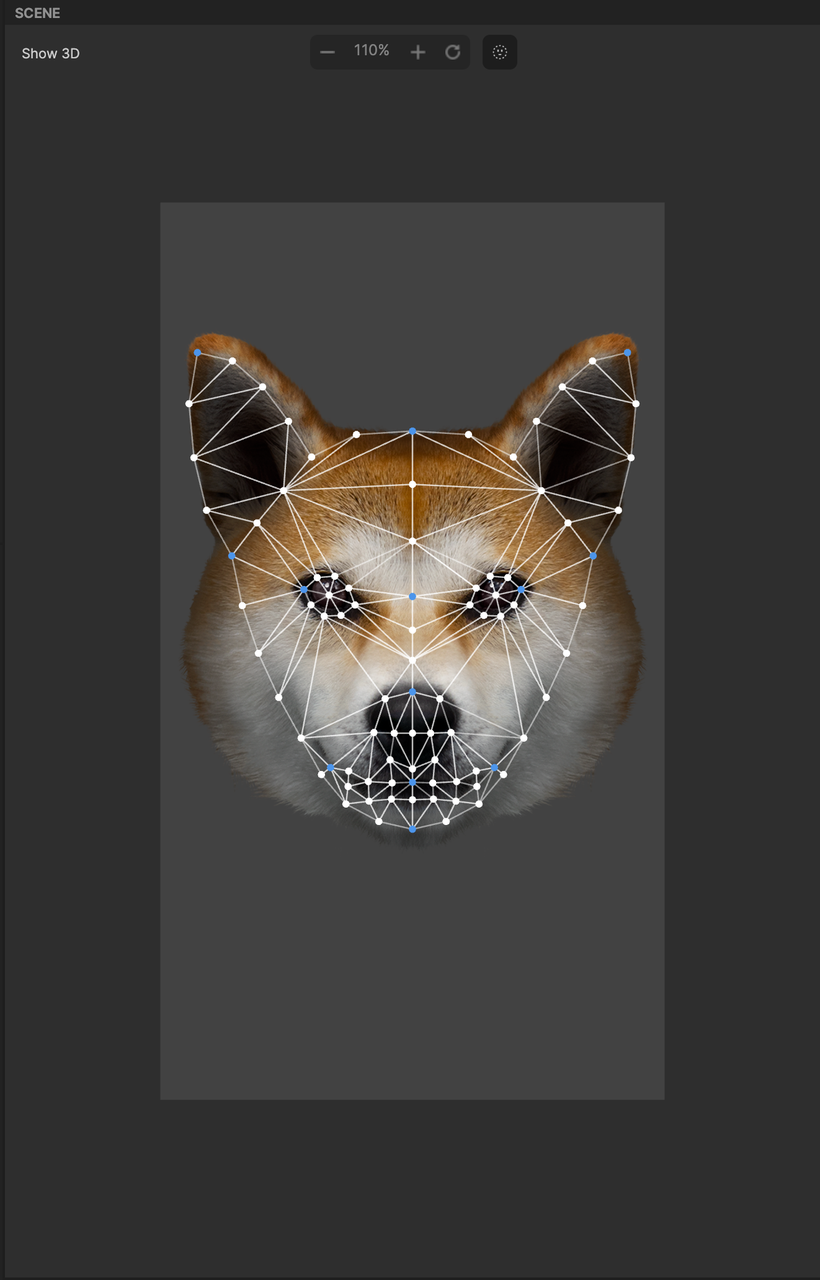 Dog Face Stretch | Learn | TikTok Effect House